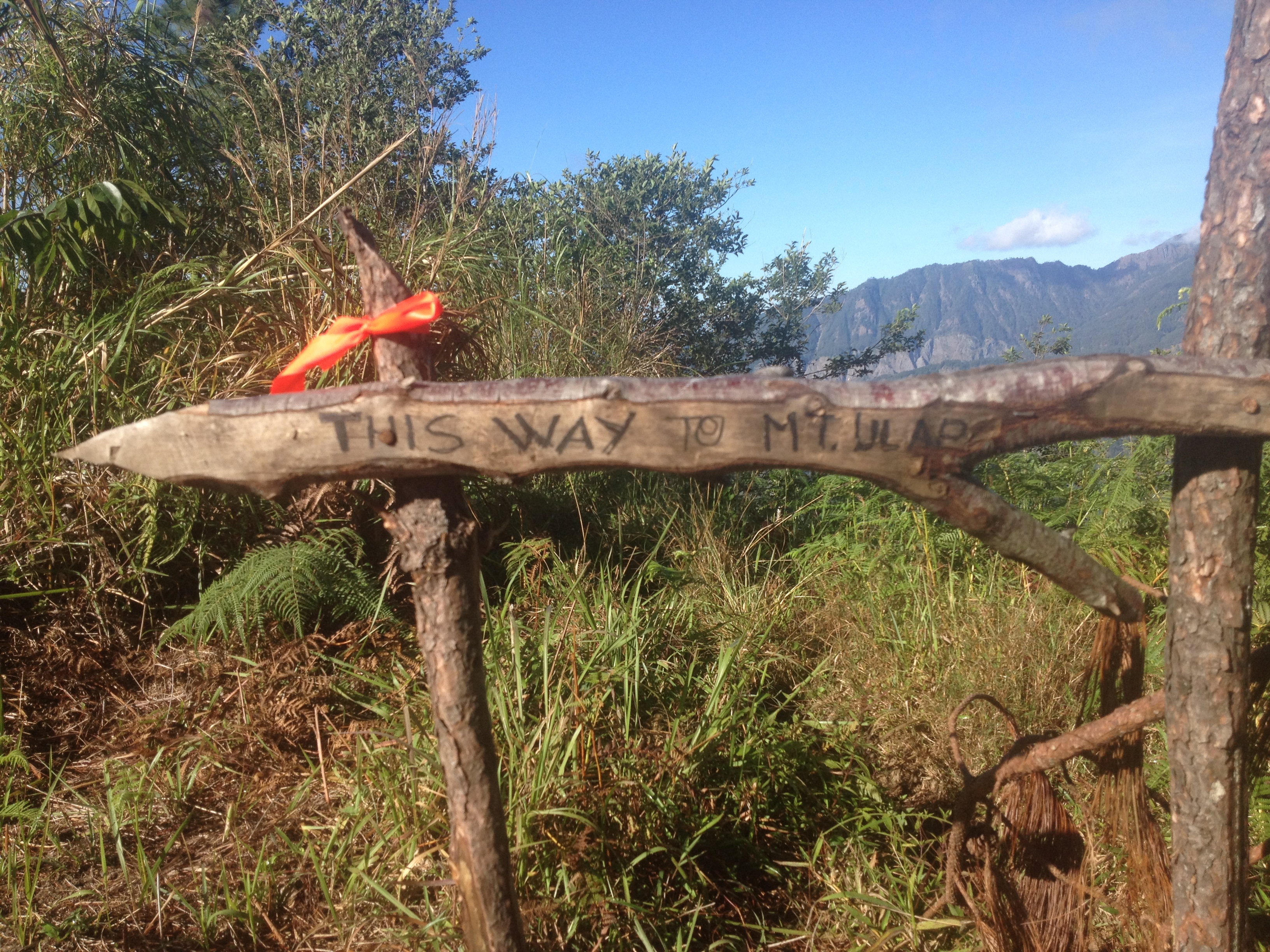 Travel Guide: How to get to Mount Ulap! | Turista Boy